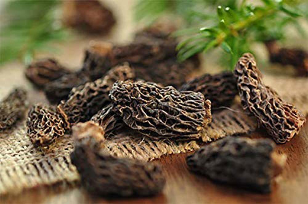 Alif Himalayan, Kashmiri Morel Mushrooms Morchella, Gucchi 25g – Hamiast