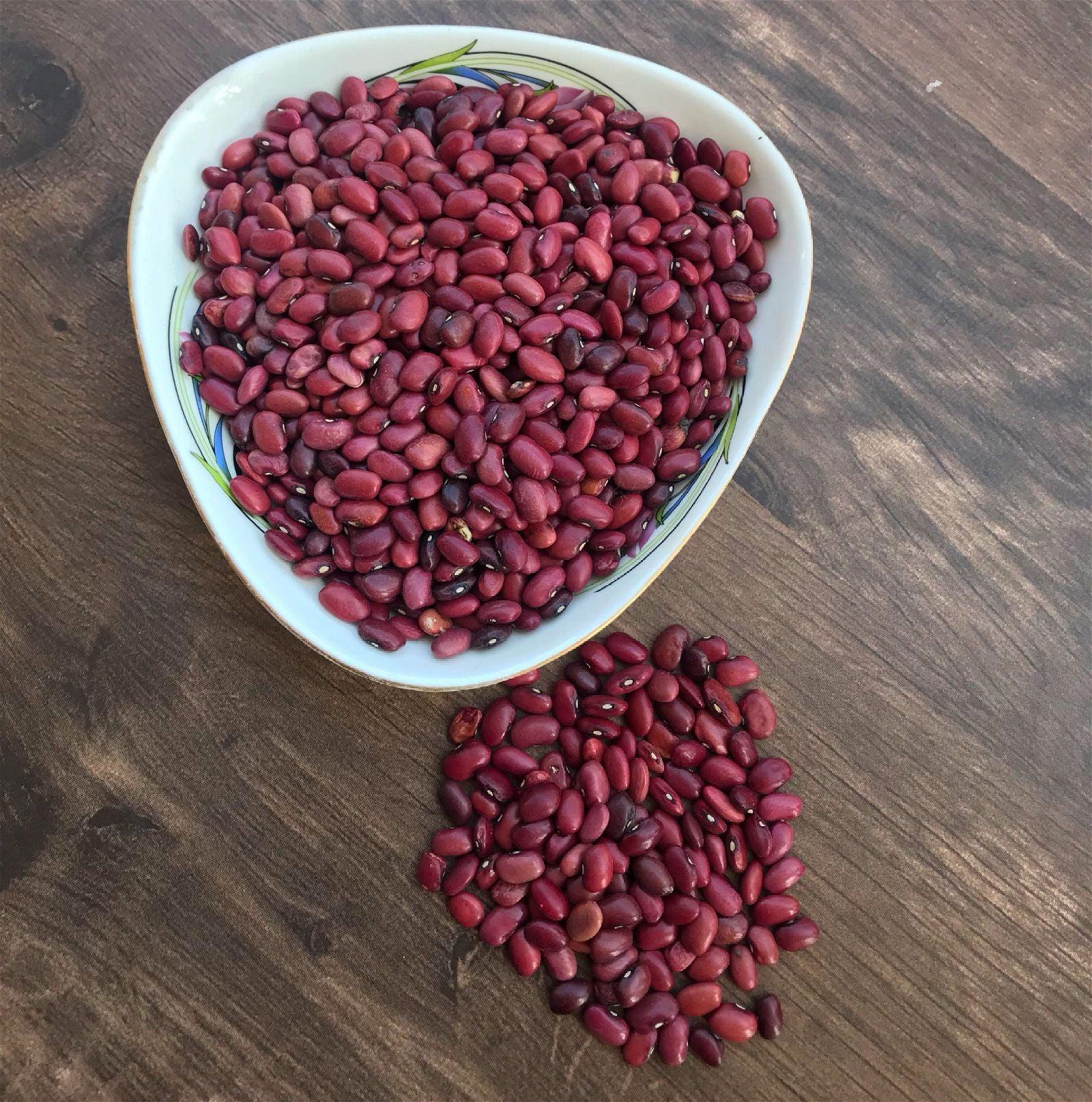 Buy Exquisite Kishtwari Marwah Rajma Online: Pure & Handpicked Delicacy ...